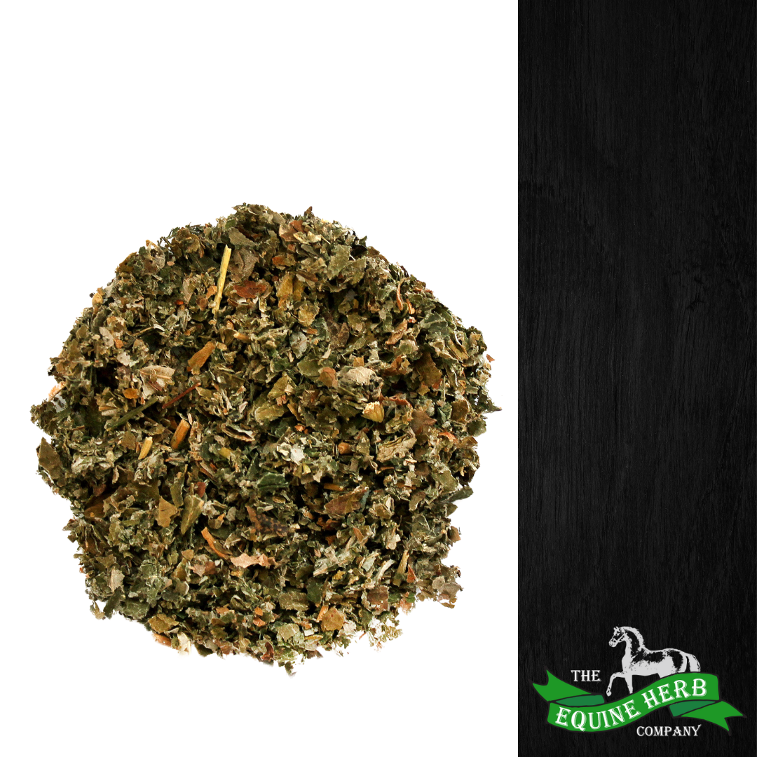 SH RASPBERRY LEAF - EQUINE HERB : Feed & Supplements-Supplements : Spurs