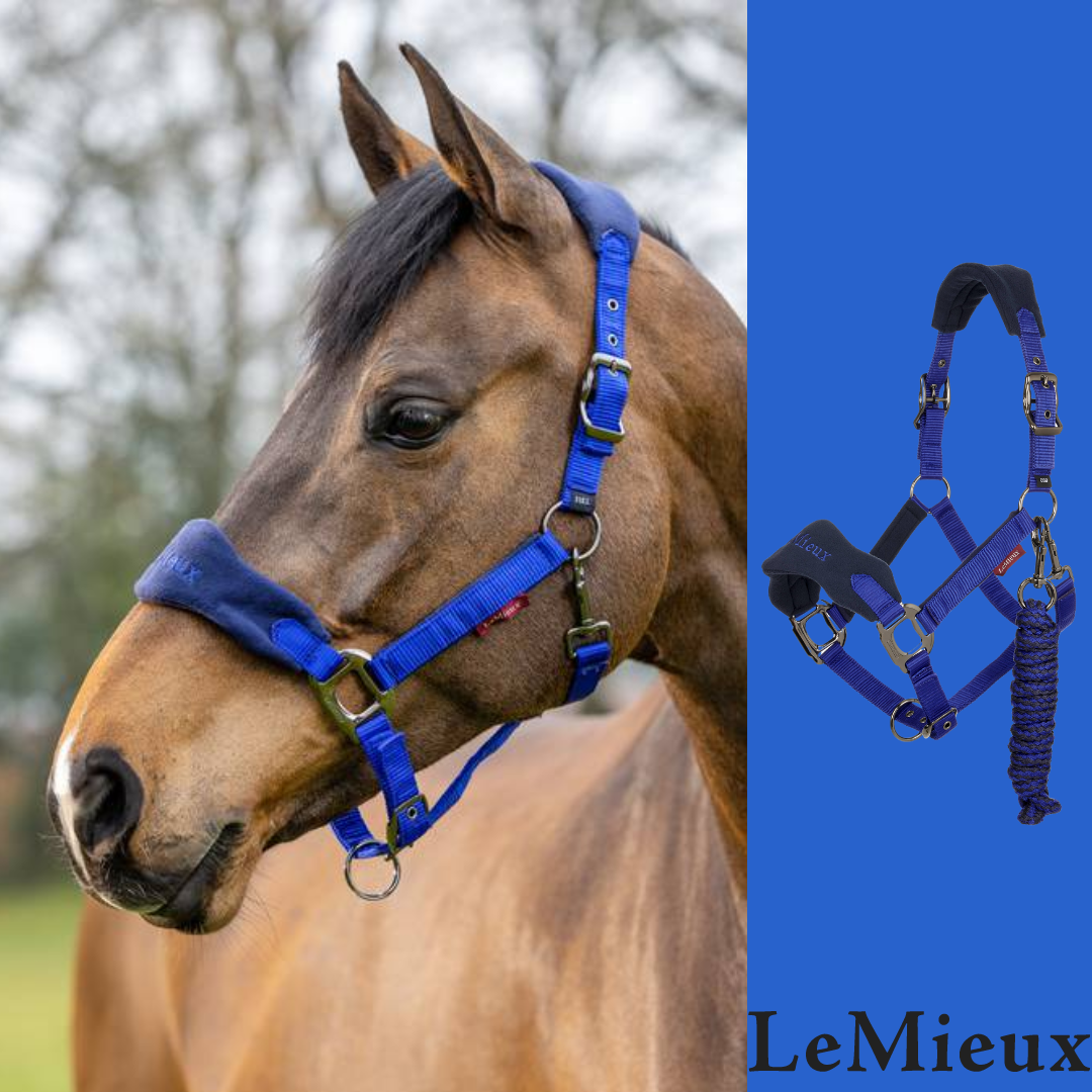 LE MIEUX VOGUE FLEECE HALTER AND LEAD - Halters and Leads - Le Mieux