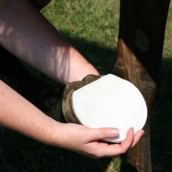 Ethical Agents Hoof Poultice - Vet : Spurs - ETHAG