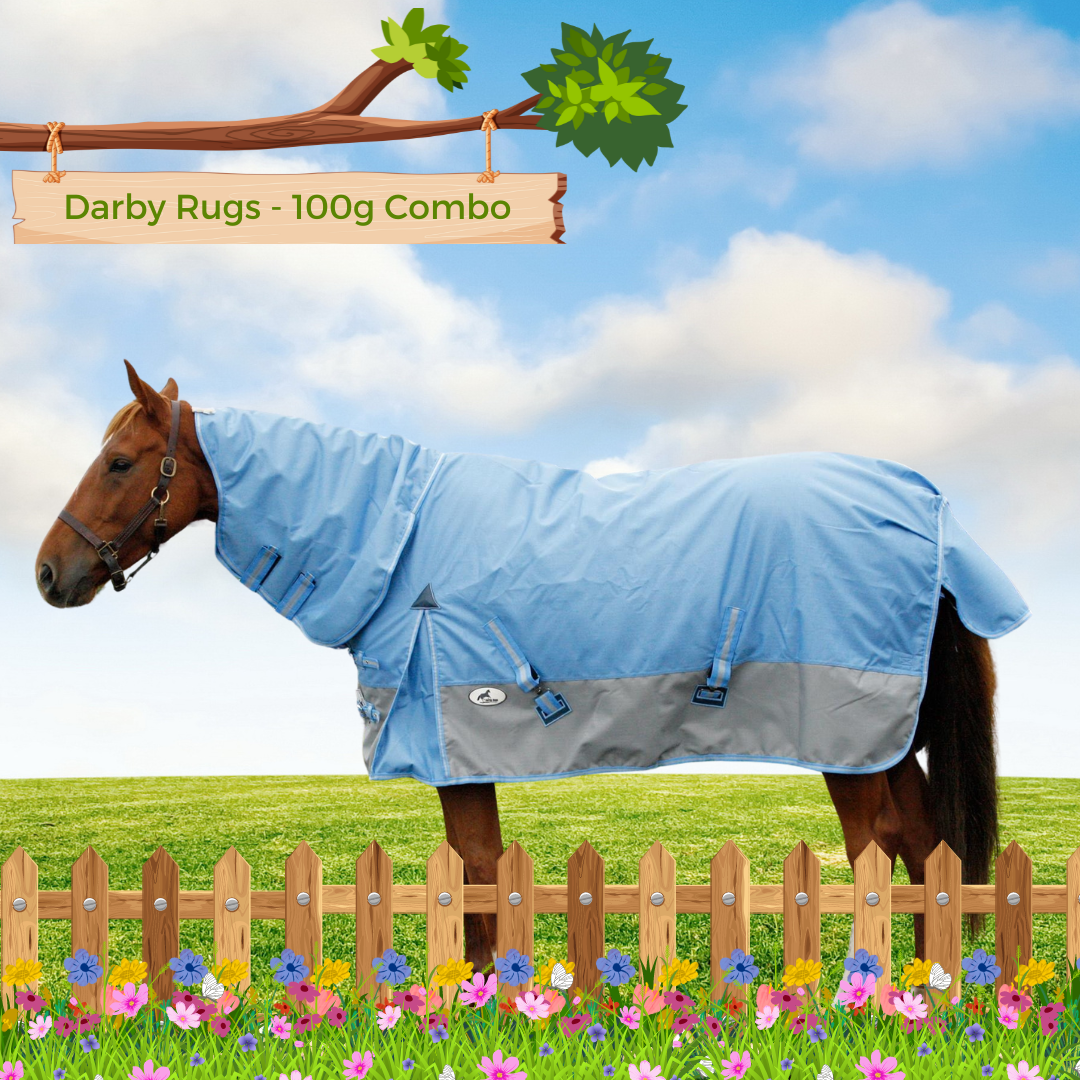 DARBY WINTER RUG 100GM - Covers & Rugs-Synthetic Paddock Rugs : Spurs ...