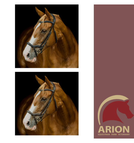 PLATINUM PRESSURE RELIEF ANATOMICAL BRIDLE - Bridles & Reins-Bridles ...