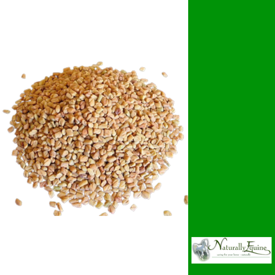 NATURALLY EQUINE FENUGREEK - Feed & Supplements-Supplements : Spurs ...