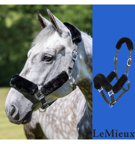 LE MIEUX COMFORT HALTER - Halters & Leads-Halters : Spurs - Le Mieux