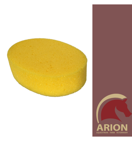 OPEN PORE SPONGE MEDIUM - Grooming-Wash Bay : Spurs - ARION