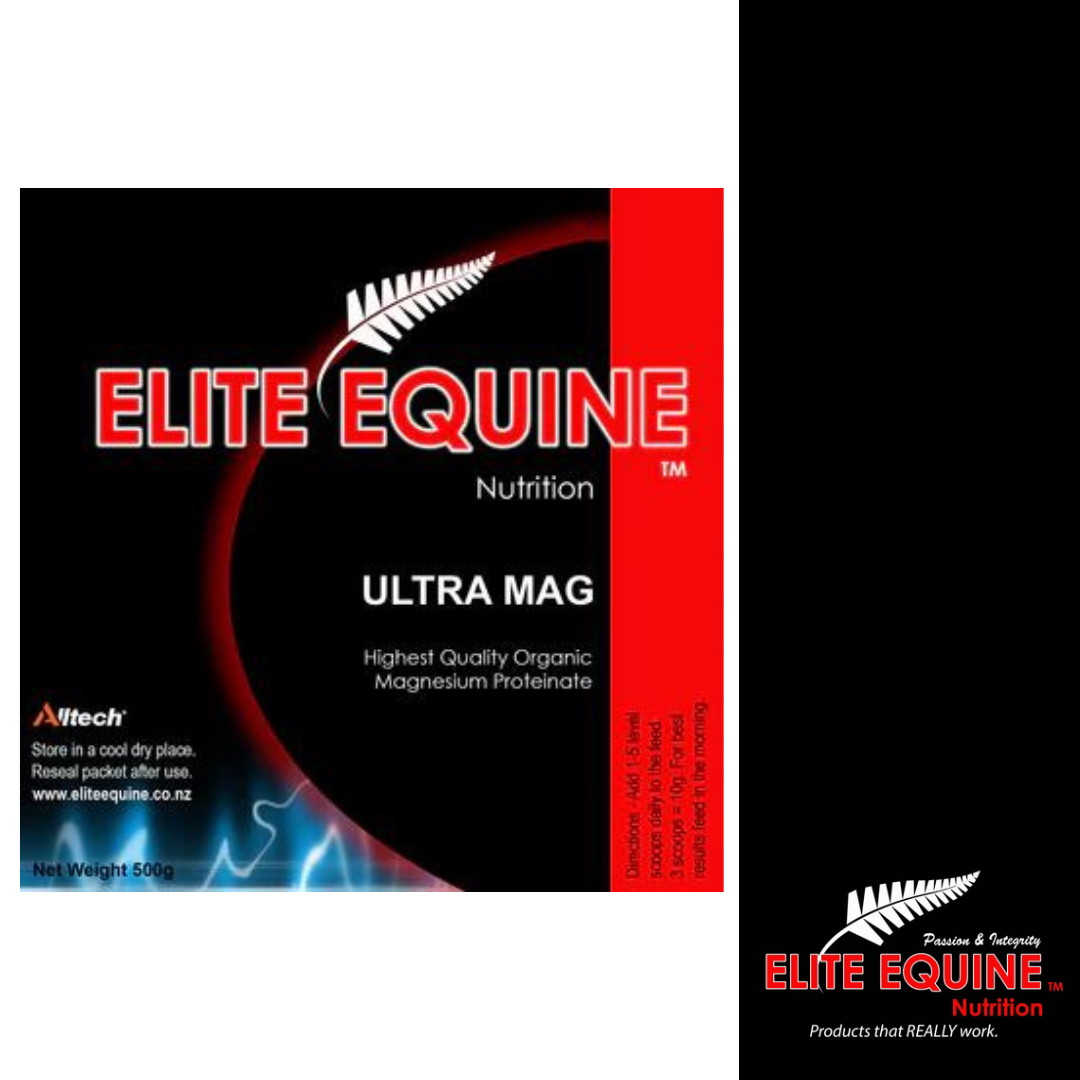 ELITE EQUINE ULTRA MAG - Feed & Supplements-Supplements : Spurs - ELITE ...